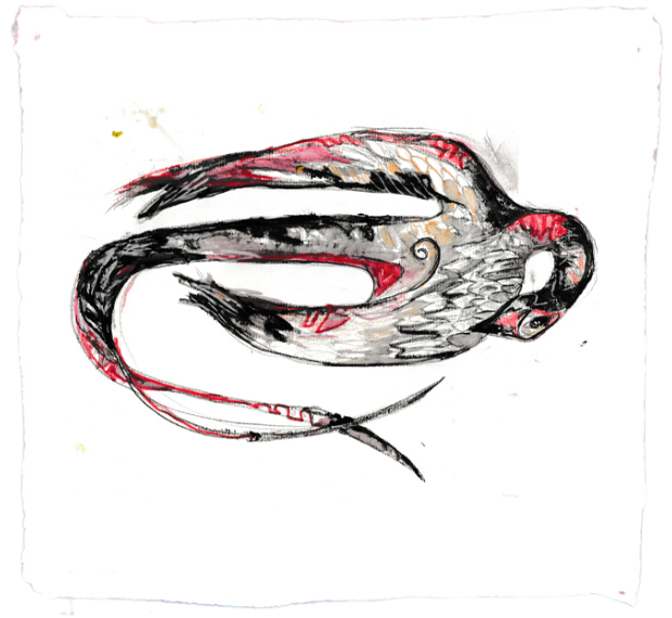 Patrick Wolf Official Store – The Patrick Wolf Emporium